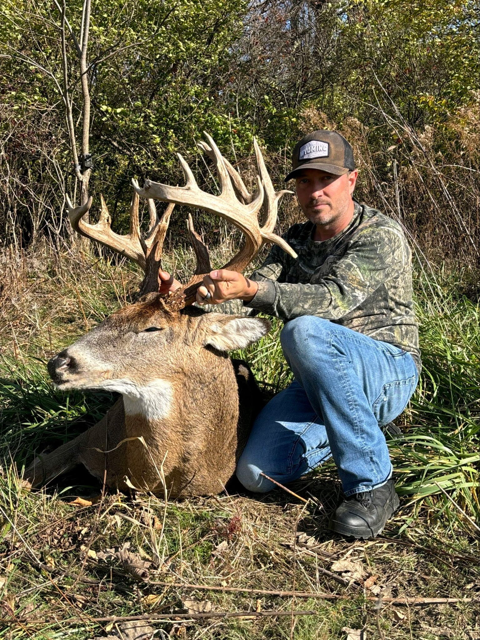 Big Buck 411